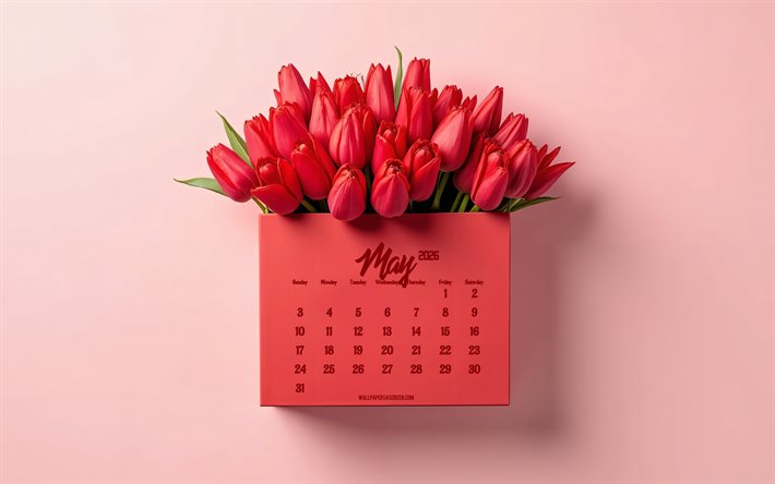 Download 2026 May Calendar, red tulips, 2026 Calendars, May 2026 ...